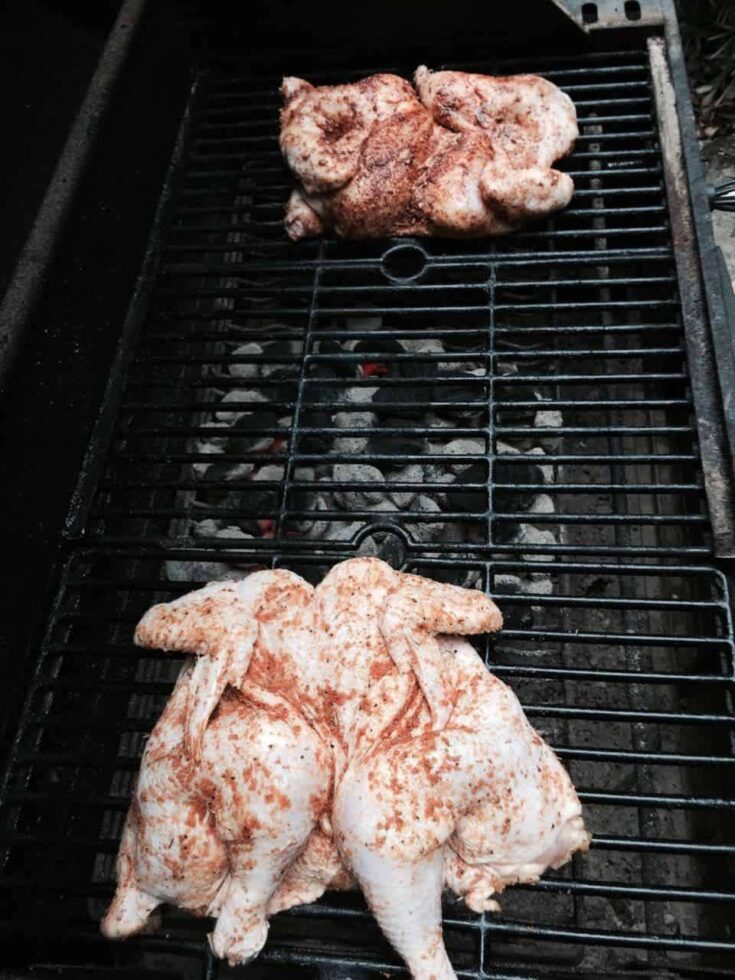 2-Zone Grilling: Definition, Setup & Techniques- Destination BBQ