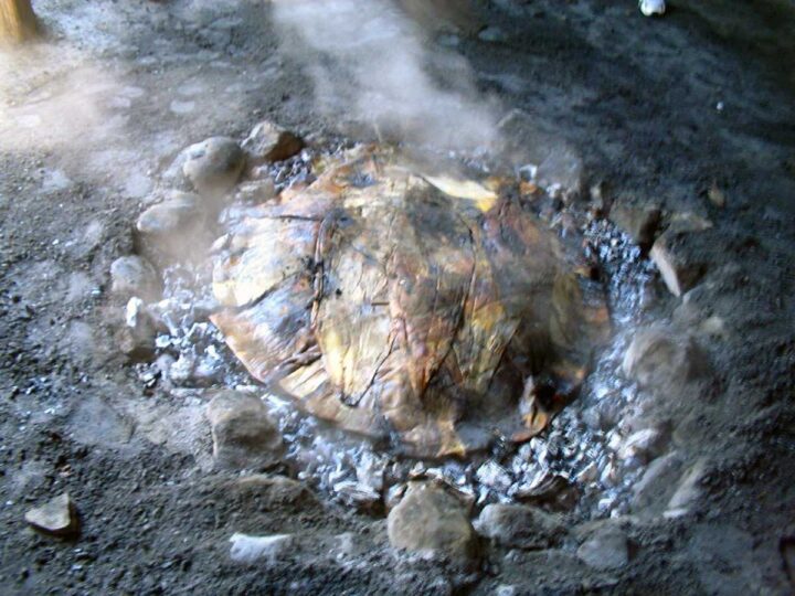 Barbacoa: Meaning, Traditional Method, and Home Tips - Destination BBQ