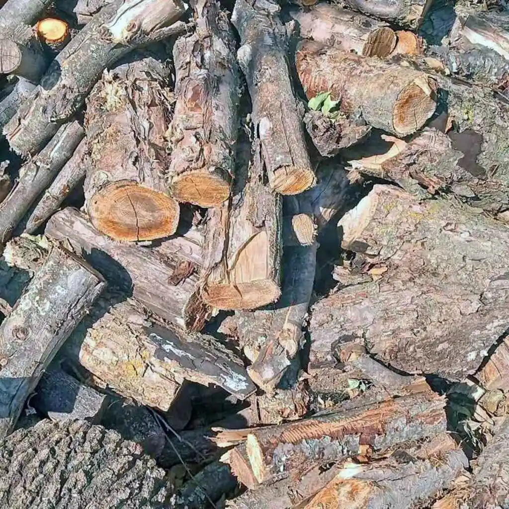 Apple Wood Smoking Guide: Best Uses & Flavor Tips - Destination BBQ