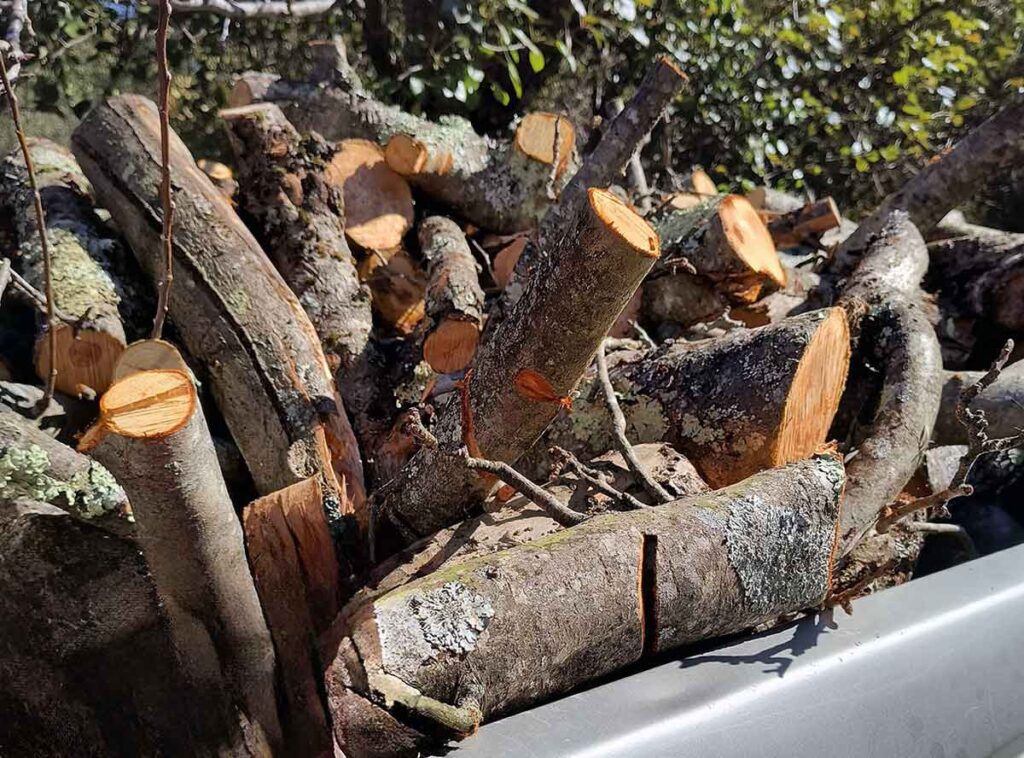 Apple Wood Smoking Guide: Best Uses & Flavor Tips - Destination BBQ