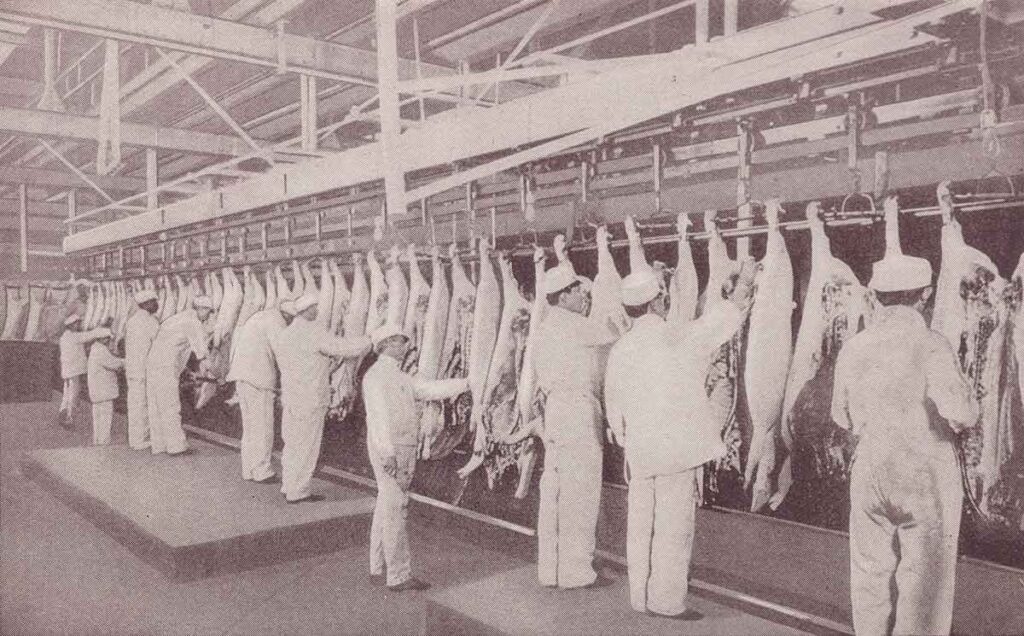 St. Louis Style Ribs: What They Are & How to Trim, Prep, Cook ...