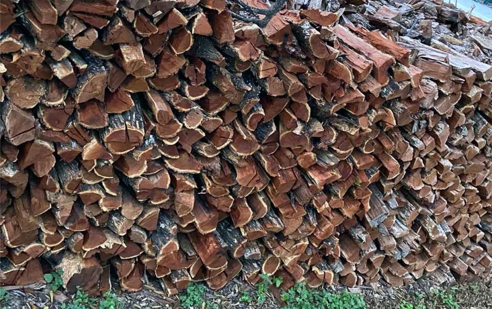 What is Mesquite Wood? Complete BBQ Smoking Guide - Destination BBQ