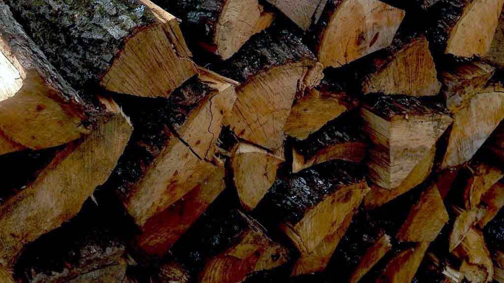 Hickory Wood for BBQ: Flavor, Heat & How to Use - Destination BBQ